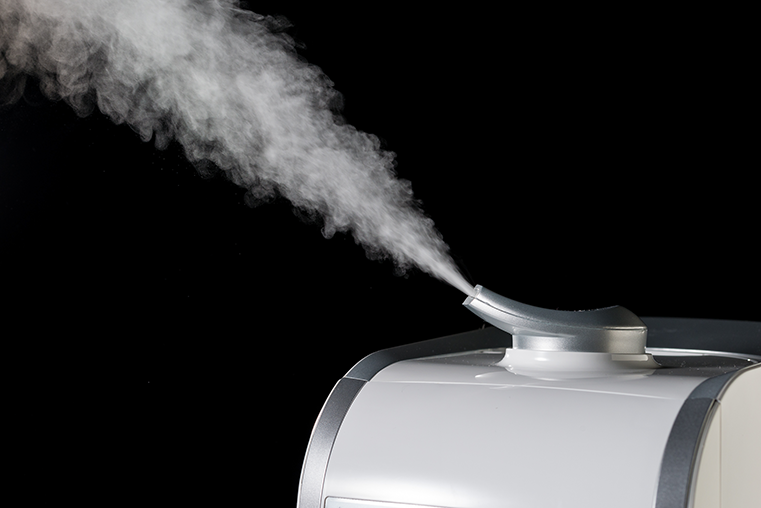 Fast Cleaning Tips for Removing Mildew Smell in House [eBook]